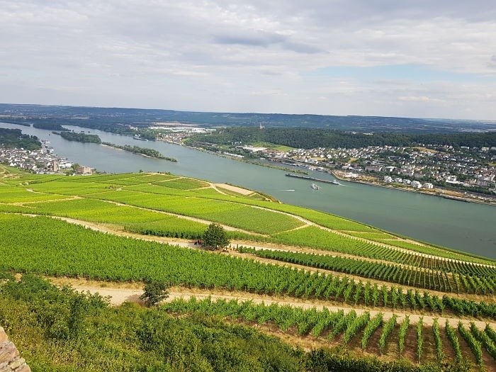 Vale do Reno, na Alemanha: seus castelos e cidades imperdíveis!